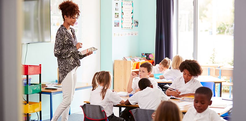 How to Survive and Thrive in Primary School: The Ultimate Guide for ...